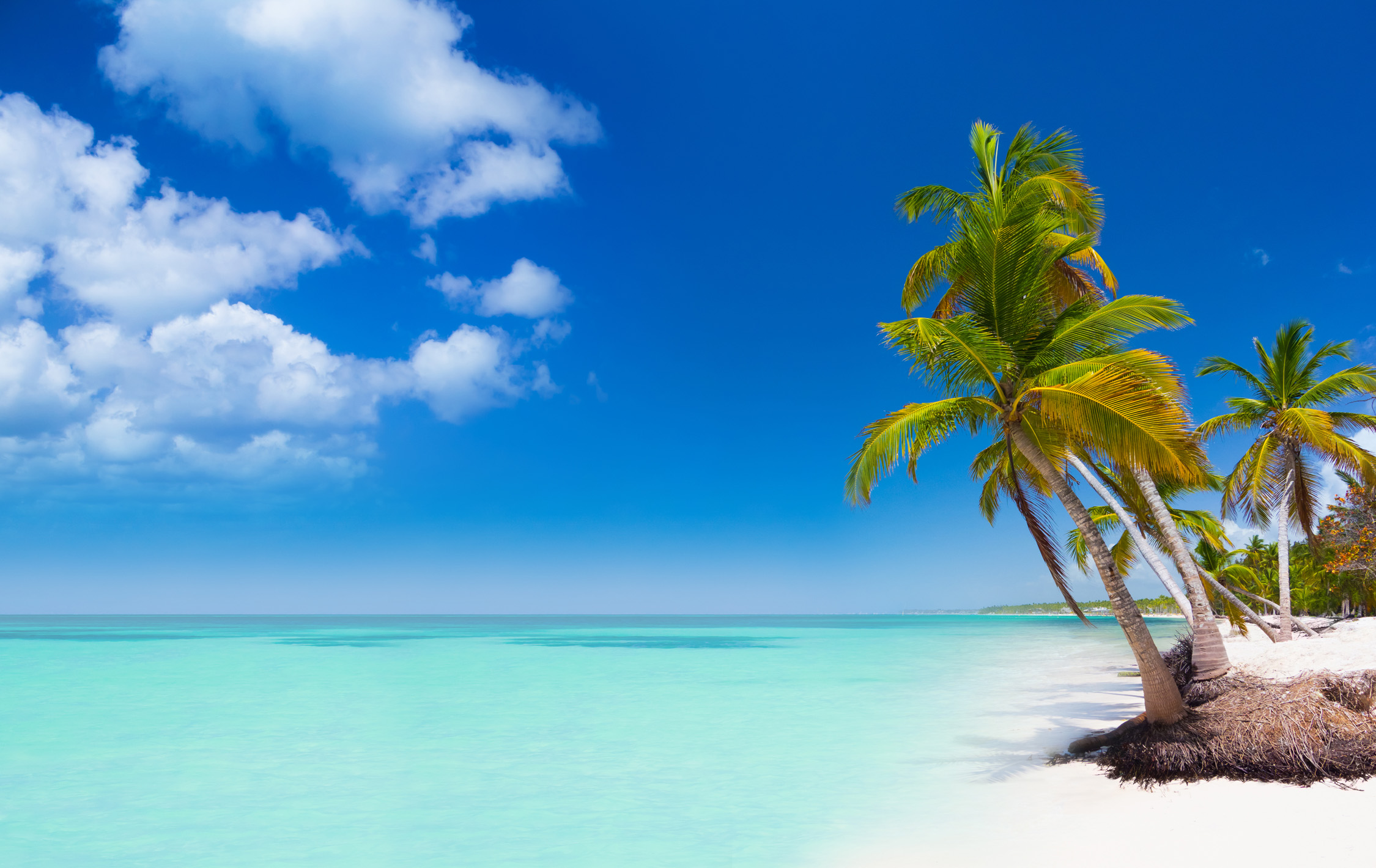 Karibik: 10 Tage Traumurlaub in der Dom Rep mit 4* Hotel, All Inclusive ...